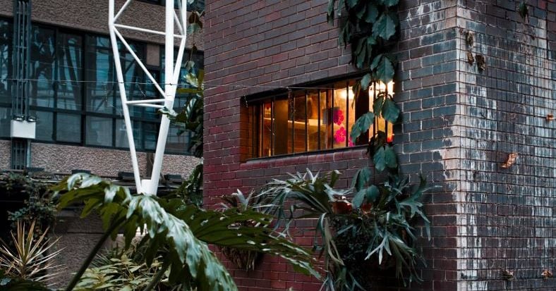 Did You Know? Rewilding Urban Spaces Renders Us Happy and Healthy ...