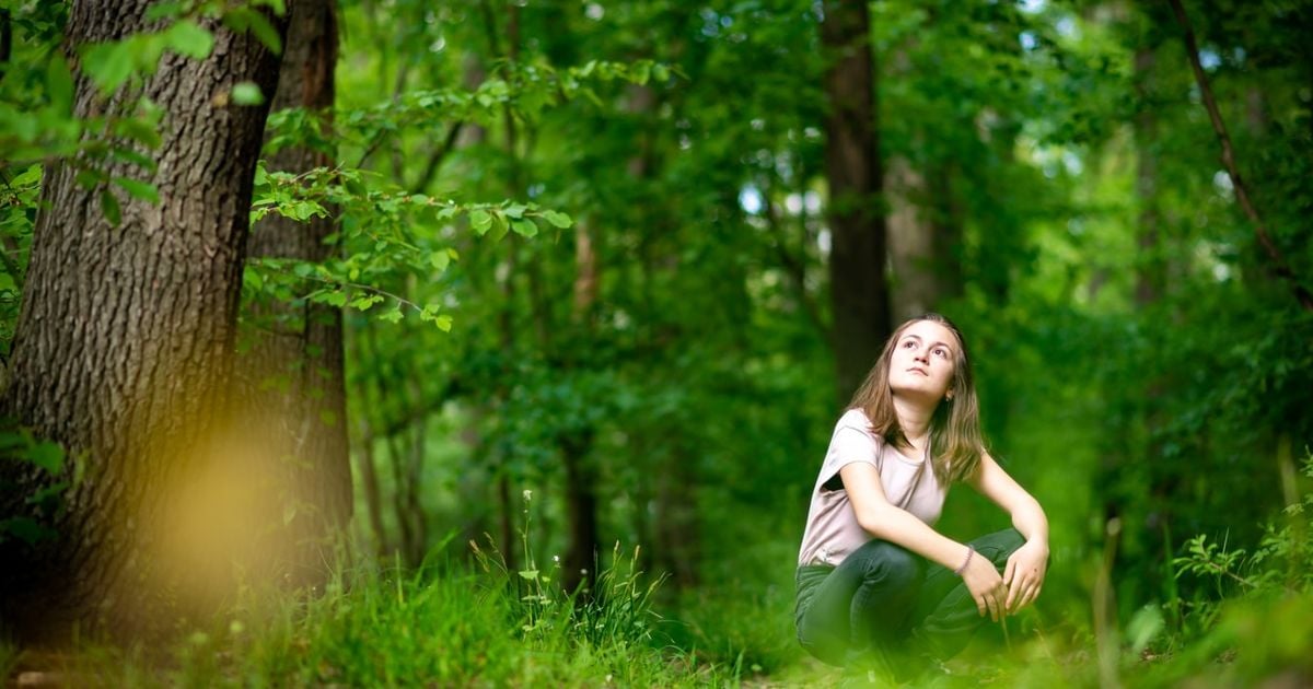 Nature Deficit Disorder - alive magazine