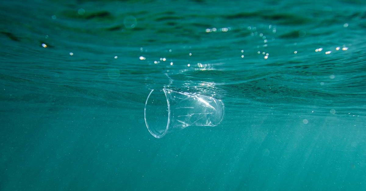 Microplastics Found in Human Blood for the First Time - alive magazine