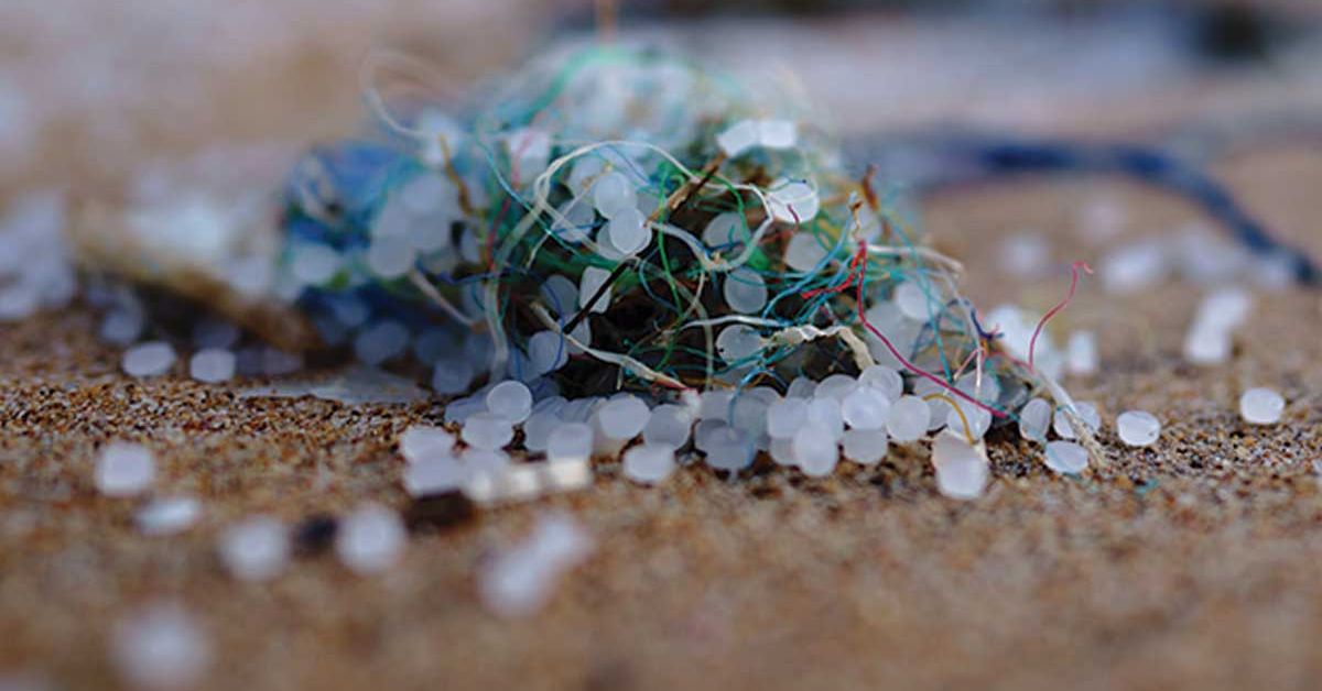 Microplastics with a Mega Impact - alive magazine