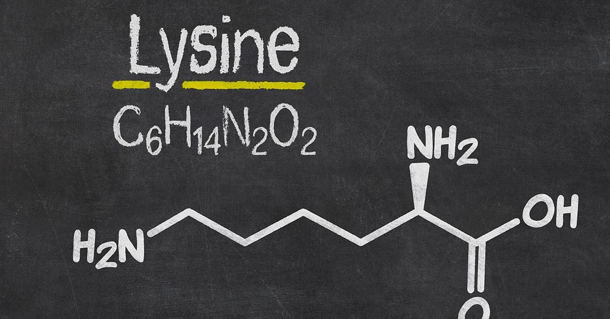10 Important Health Benefits of Lysine - alive magazine