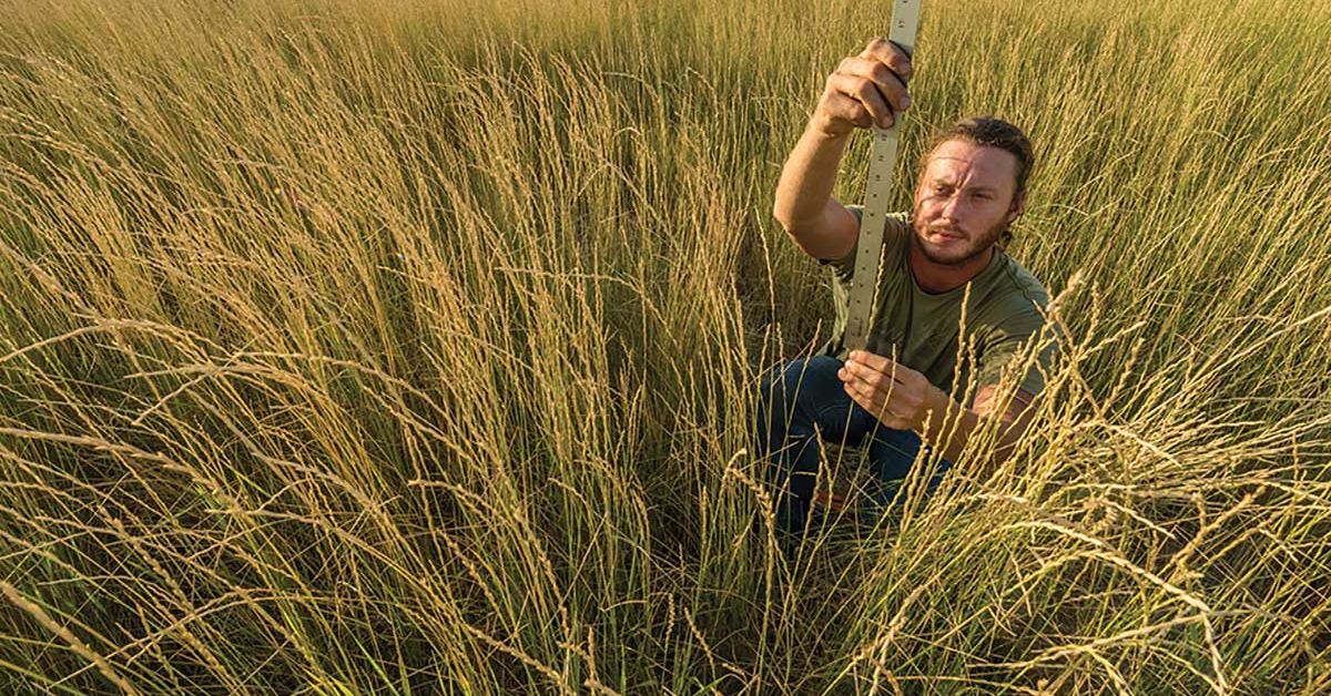 Rooted in Science - alive magazine