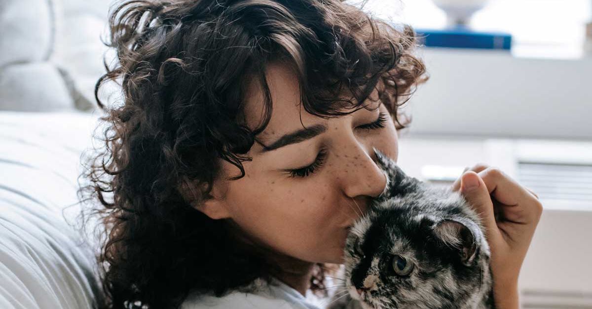 The Price of Nice - alive magazine