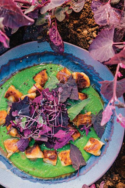 Potato Gnocchi, Nutmeg Spinach Sauce, and Orach Salad - alive magazine