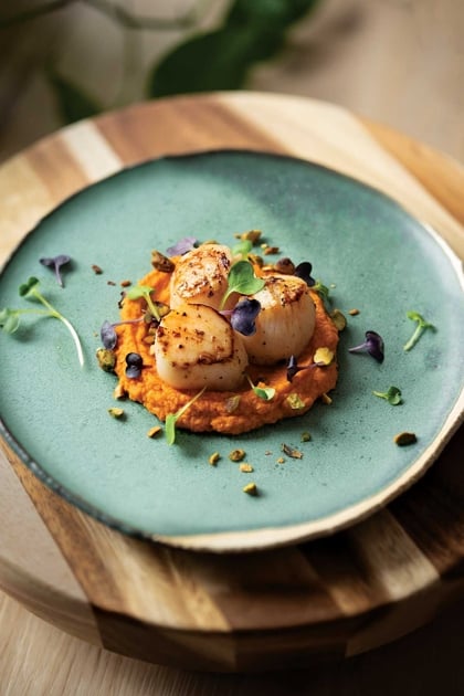 Seared Sea Scallops with Cashew Butter Carrot Purée - alive magazine