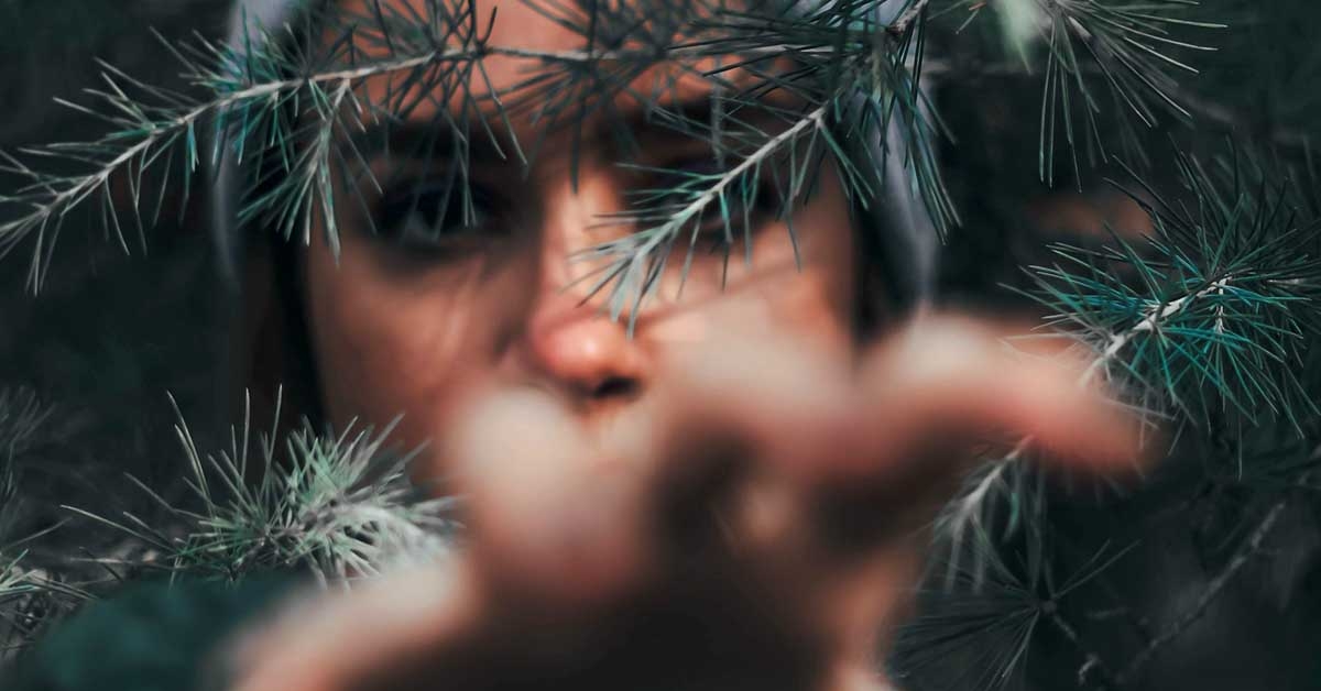 Make the Holidays Sustainable - alive magazine