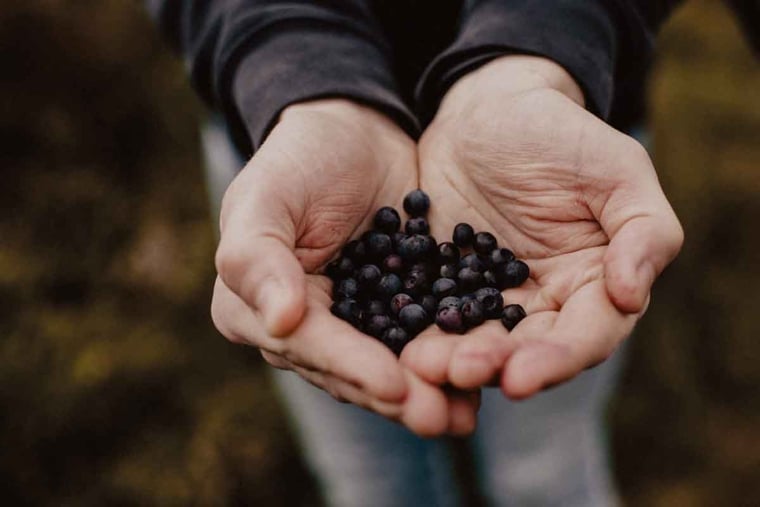 Ancestral Approaches to Detox - alive magazine