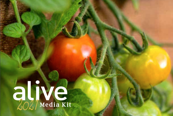 Advertise in alive magazine - alive magazine